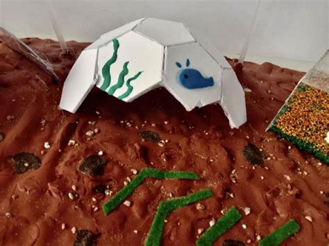 火星生态养老院：老吾老以及人之老｜创新人才培养计划 搜狐大视野 搜狐新闻