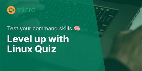 Mastering Linux Commands Quiz Test Your Knowledge Dg Micro