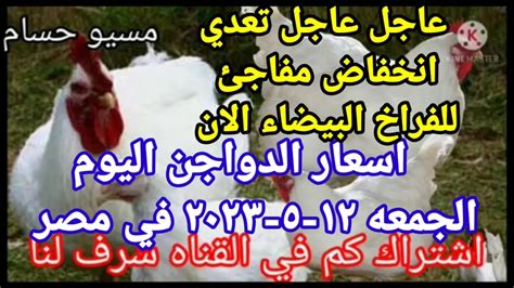 اسعار الفراخ البيضاء اليوم اسعار الدواجن اليوم الجمعه ١٢ ٥ ٢٠٢٣ في مصر