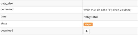 Bad Formatted Metadata Field Time Showing Nanynand · Issue 2380