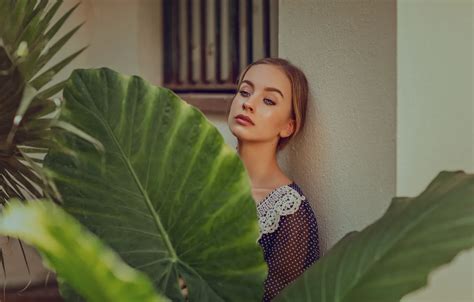 Wallpaper Leaves Girl Reverie Mood For Mobile And Desktop Section