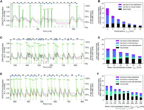 Pulse Detection And Bitrate Estimation In Three Protocols A Binary