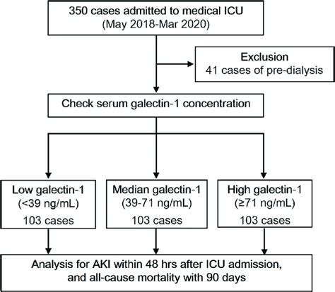Flowchart Of Patient Enrollment And Classification Icu Intensive Care Download Scientific