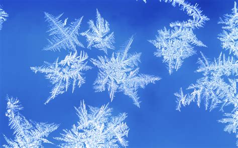 雪花与冰霜 宽屏壁纸 风景 太平洋科技