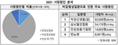 데일리팜 사망자 10명 중 8명 만성질환 원인총진료비 85 차지
