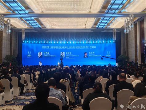 2023中国—北欧经贸合作论坛在汉启幕 荆楚网 湖北日报网