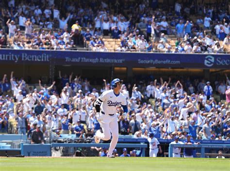 大谷翔平の日本人最多176号hrボールをゲットしたのは初めて野球を観戦したラッキーガイ Mlb写真ニュース 日刊スポーツ