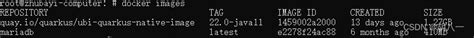 docker安装mariadb数据库 csdn博客