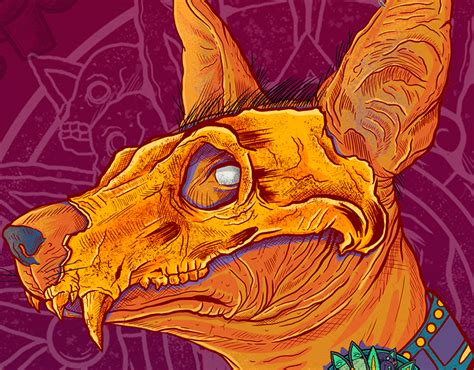 Xoloitzcuintle Projects Photos Videos Logos Illustrations And