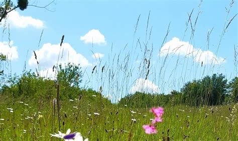 Cum Se Poate Vindeca Caracterul Bolnav Care Cade Cu Uşurinţă în Judecarea Aproapelui