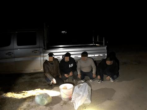 【忠诚铸魂 铁纪担当】捕鱼不成反被“捕”会东公安森警破获2起非法捕捞水产品案水域周某某地名