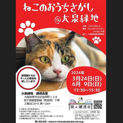 ねこのおうちさがし。 ココシルおおいずみ緑地