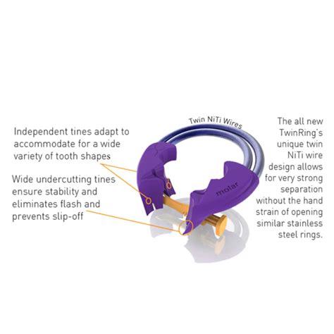 Bioclear Twinring For Class Ii Matrix Adaptation By Dental Avenue