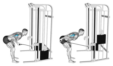 Cable Tricep Kickback The Ultimate Exercise For Defined Arms