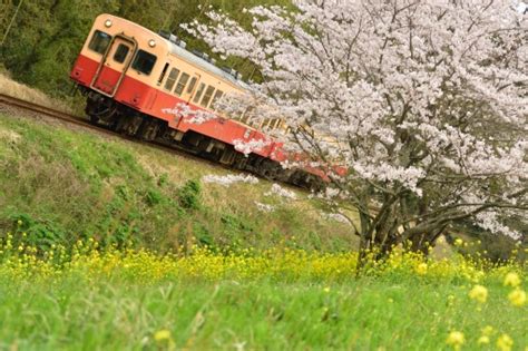 小湊鉄道の写真素材写真素材なら写真AC無料フリーダウンロードOK
