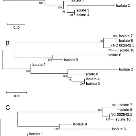 Phylogenetic Analysis Of Flash Ngs Data From Patient Respiratory
