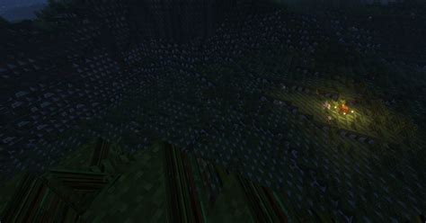 Weird Texture Issue Im Assuming Its A Mod Conflict If Anyone Knows What Modhow To Fix Tell Me