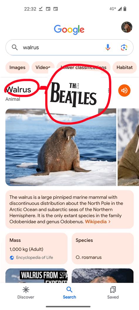 The Bebles Caught In Goglee Rbeatlescirclejerk