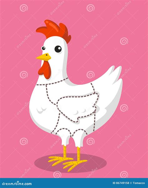 Chicken Cuts Cartoon Stock Illustration Illustration Of Cuisine 86749158
