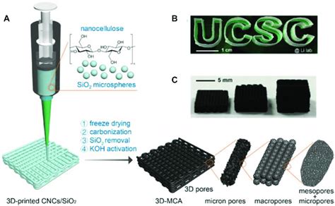 A Schematic Illustration Of The Fabrication Of 3d Printed Multiscale