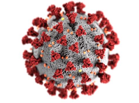 Bahia Ultrapassa Mil Casos Confirmados De Novo Coronavírus