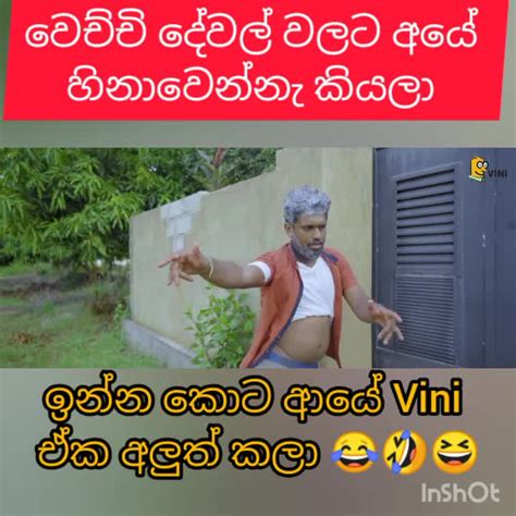 පච ගුණේ Vs පම්පෝරි ජනක 🤣😍 ️ නයි අරින්න නියම බඩු 🤣 ඉල ඇදෙනවා යකෝ මුංගේ