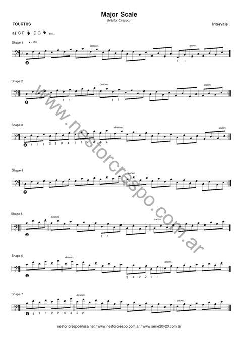 Bass Diatonic Major Scale Routine Practice And Exercises Of