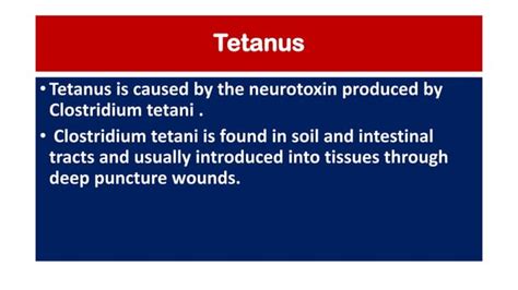 Tetanus In Equines And Dairy Animals Pdf