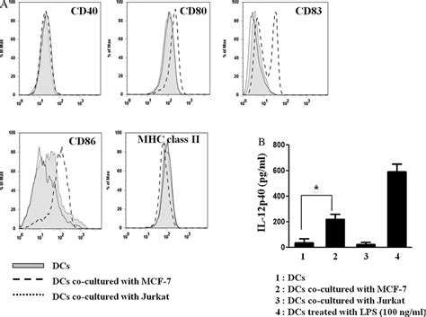 Expression Of Surface Markers On Dendritic Cells Co Cultured With Mcf 7