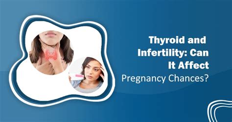 Thyroid And Infertility Whats The Connection