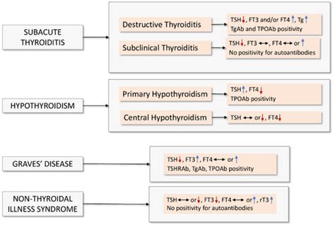 Subacute Thyroiditis
