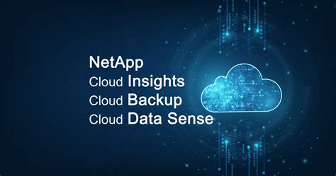 Netapp Cloud Insight Cloud Data Sense Cloud Backup Td Synnex Blog Ch