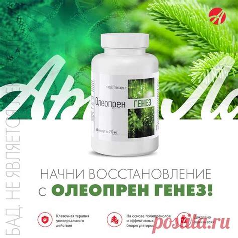 ОЛЕОПРЕН ГЕНЕЗ – УНИВЕРСАЛЬНЫЙ КОМПЛЕКС ДЛЯ ВОССТАНОВЛЕНИЯ ОРГАНИЗМ ...
