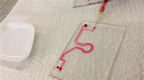 Live Demo Of Simple Microfluidic Chip Working Youtube