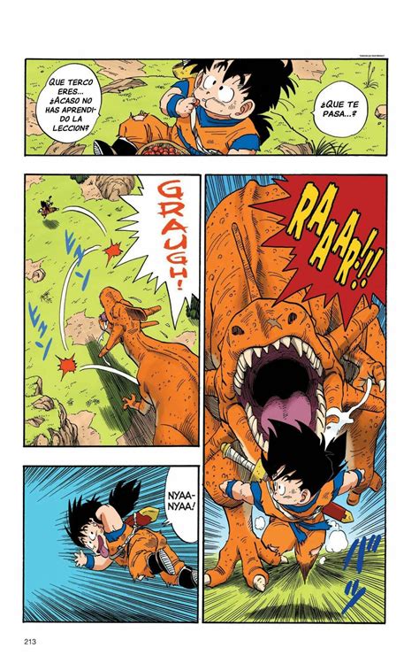Dragon Ball에 있는 Ayesha Lomaski S Costa님의 핀