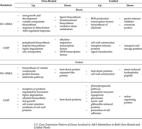 Specific Differentially Expressed Genes And Pathways In Roots And