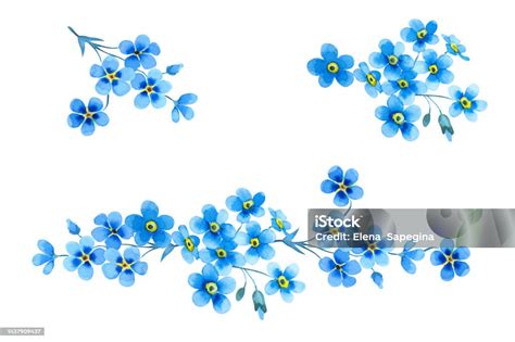 아름 다운 파란색 물망초 꽃의 집합입니다 섬세한 꽃 가지와 흰색 배경에 고립 된 나뭇잎 손으로 그린 수채화 물망초속에 대한 스톡