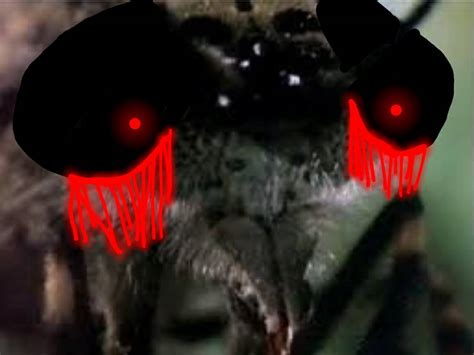 Spongebob Wormy Exe Close Up Jumpscare By Stepfan2008 On Deviantart