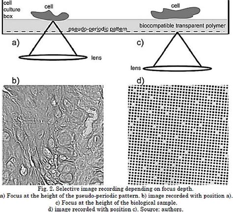 Visual In Plane Positioning Of A Labeled Target With Subpixel Resolution Basics And Application