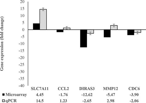 validation of differentially expressed genes from microarray analysis