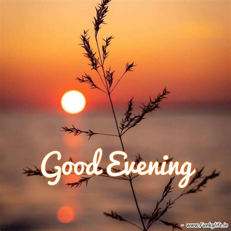 Good Evening Sunset