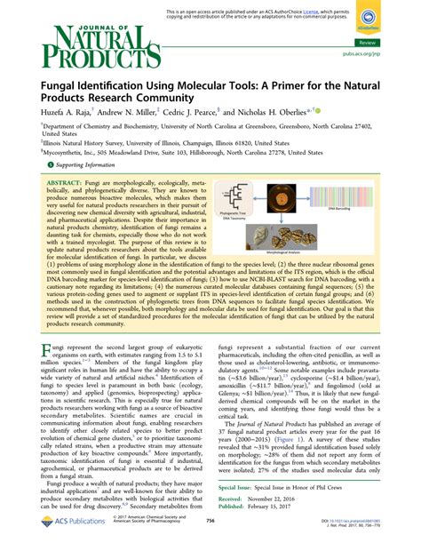 Pdf Fungal Identification Using Molecular Tools A Primer For The