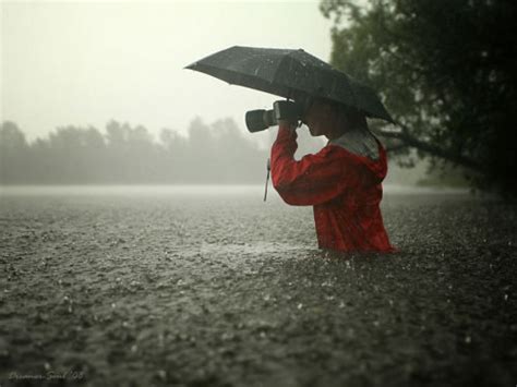 雨天摄影的技巧：在雨天拍出好作品的几个拍摄题材