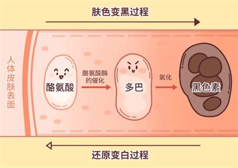 脸色暗沉没有光泽应该怎么改善 伊的家