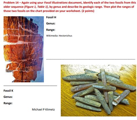 Solved Problem Again Using Your Fossil Illustrations Chegg