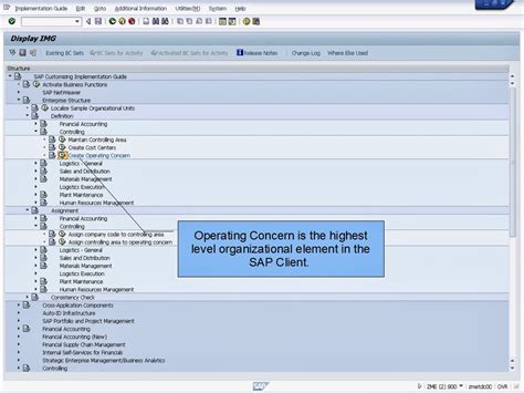 青蛙sap分享 Froggys Sap Sharing Es Controlling Operating Concern