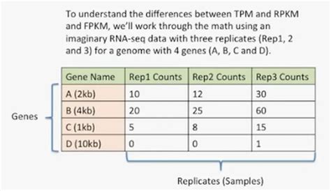 Rpkm、fpkm 和 Tpm Cpm