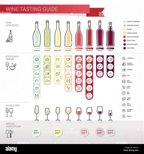 Degustazione Di Vino Guida Completa Con Abbinamenti Bottiglia E I Tipi