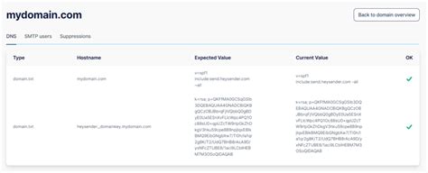 Setup Spf Record Heysender Support