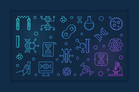 Ilustración De Genética Vectorial Y Concepto De Adn Colorido Esquema